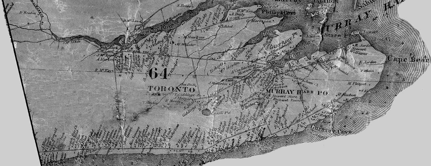 The 1863 Lake Map - View Maps by Lot Number